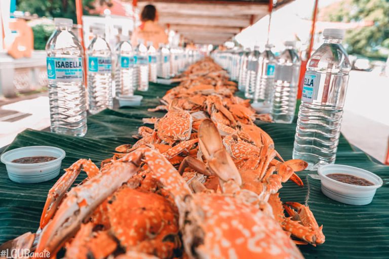 Celebrating Heritage and Culture at Banate's Kasag Festival - Iloilo Business Directory